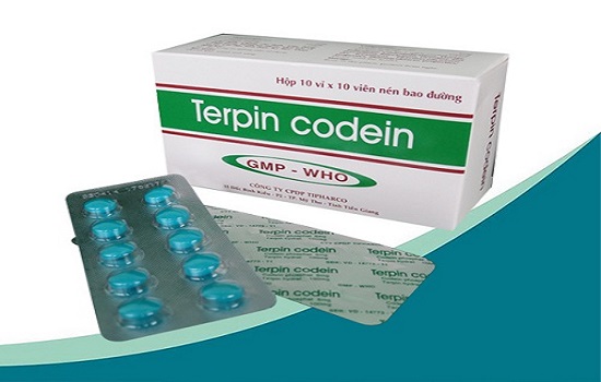 Thuốc terpin hydrate dùng để điều trị những bệnh gì?